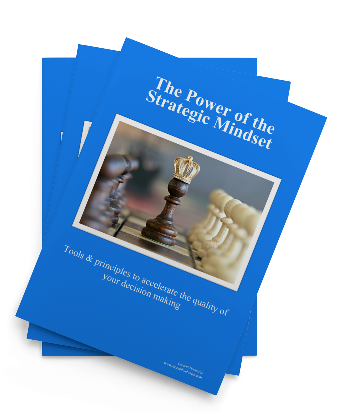 The Power of the Strategic Mindset - Laurent Hoeberigs